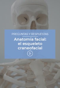 Anatomía facial: el esqueleto craneofacial | Esneca TV