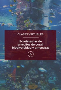 Ecosistemas de arrecifes de coral: biodiversidad y amenazas | Esneca TV