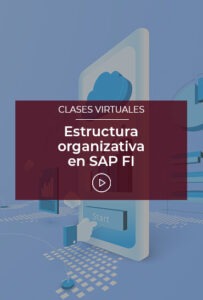 Estructura organizativa en SAP FI | Esneca TV