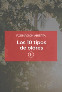 Los 10 tipos de olores | Esneca TV